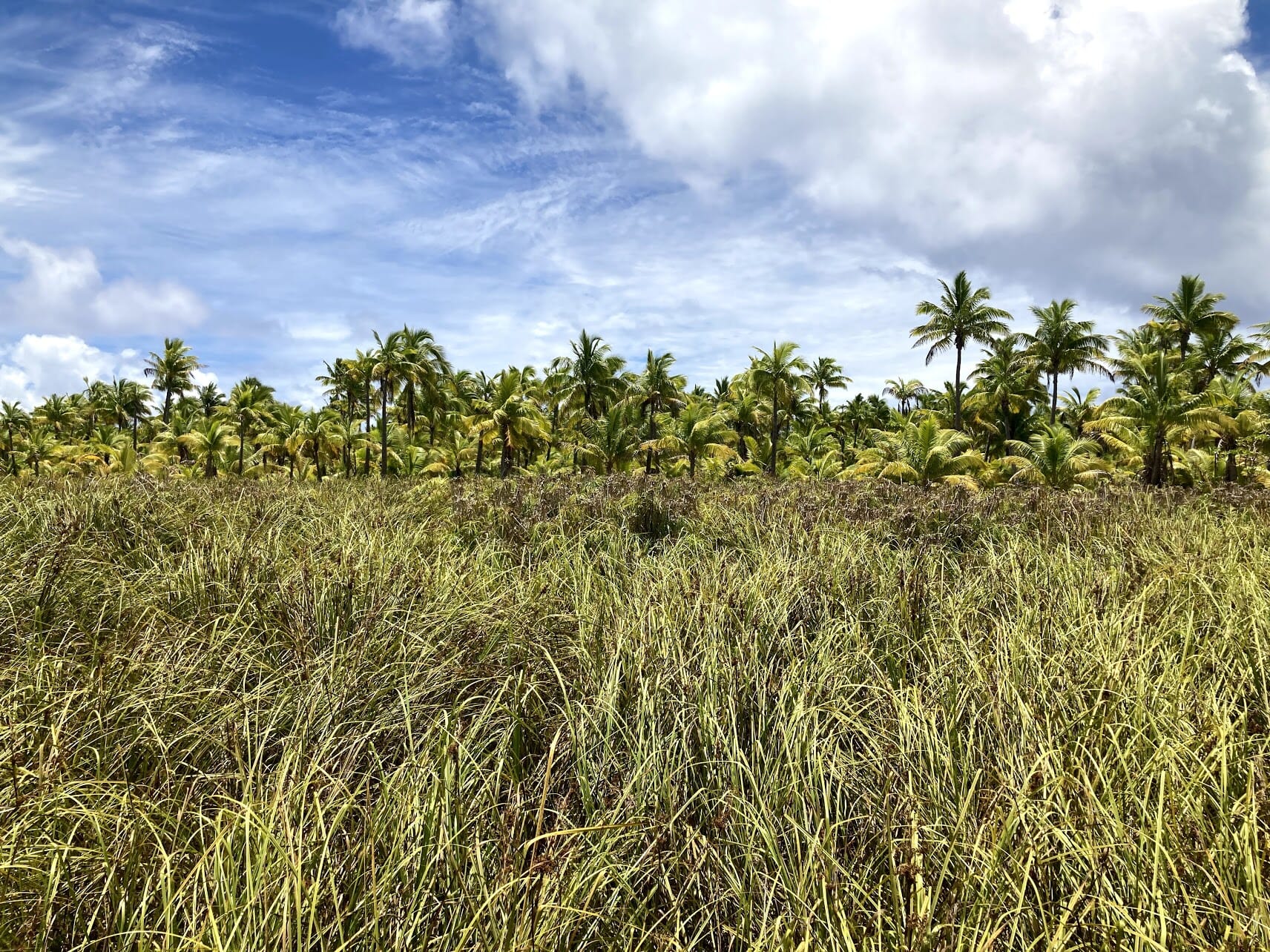 Manuae Trip December 2020 – Marcus Gleinig