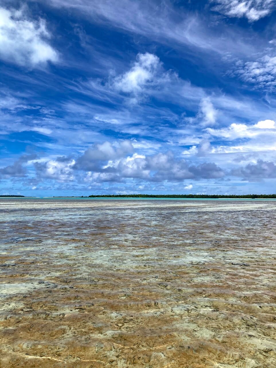 Trip Reports – Marcus Gleinig